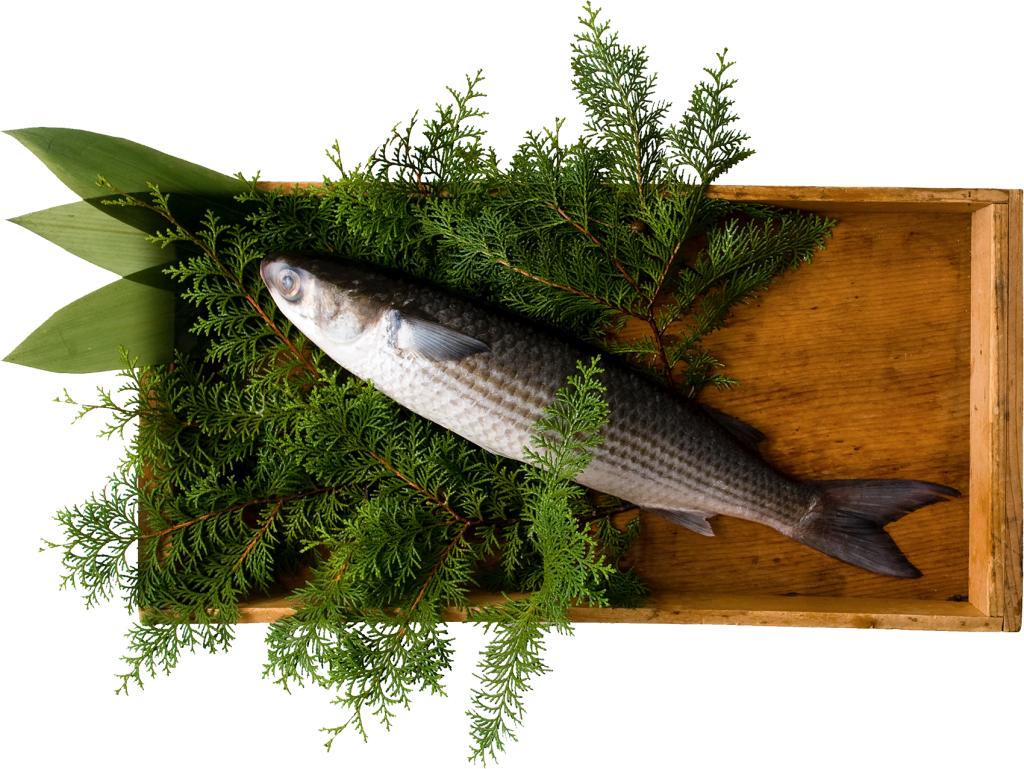 ABOUT OUR BOTTARGA | Fujii Karasumi ten