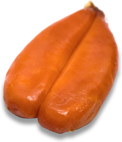 Fujii Karasumi ten｜Nagasaki specialty Fujii's finest Karasumi (Japanese ...